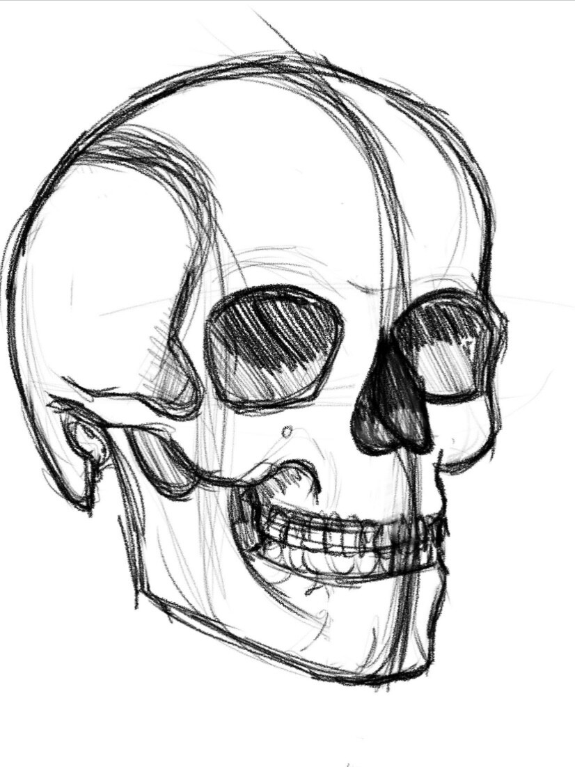 skull face drawing reference