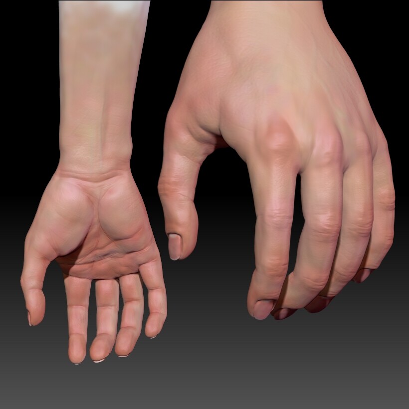 ArtStation - Hands sculpt