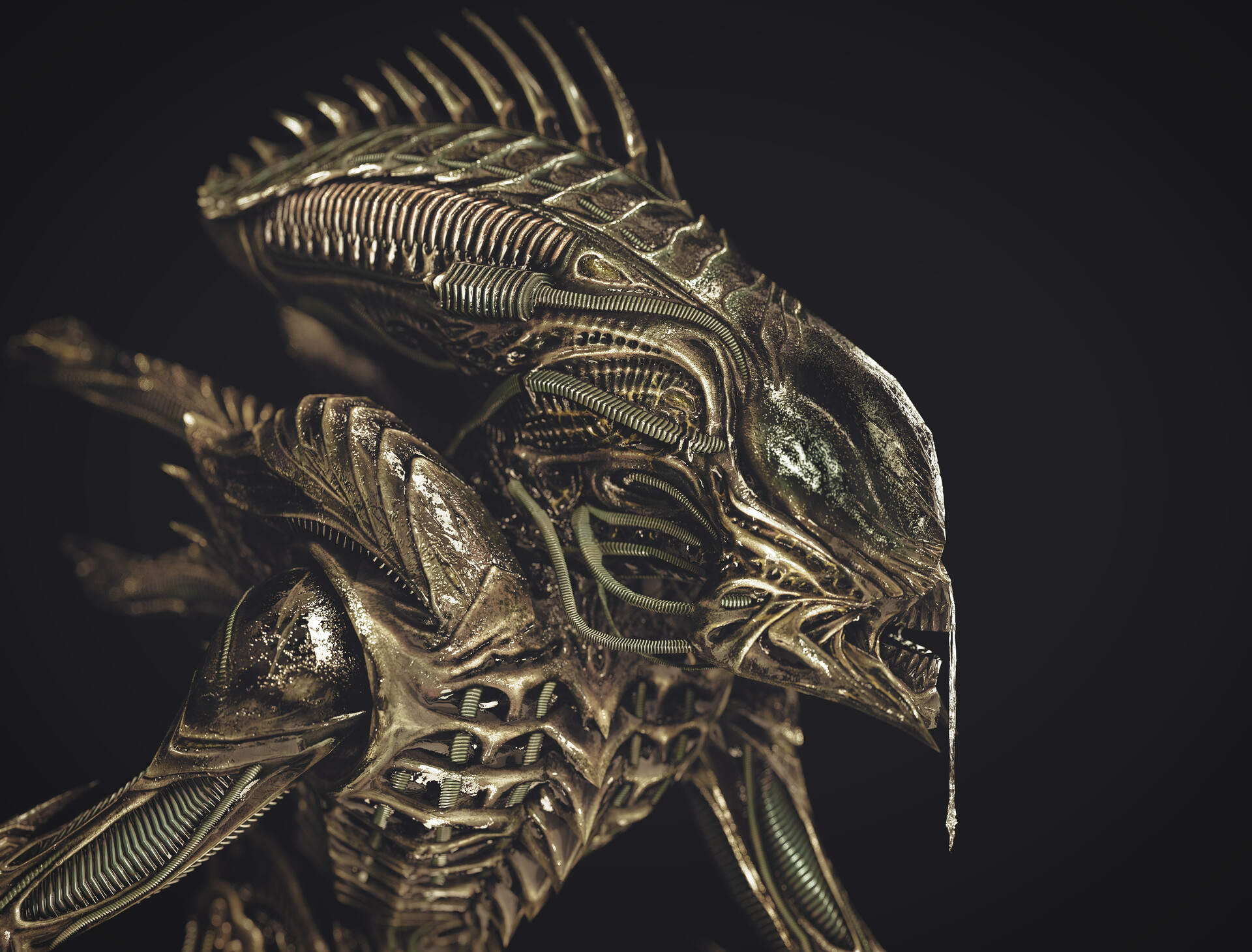 ArtStation - Perfect organism _ xeno raven "2"