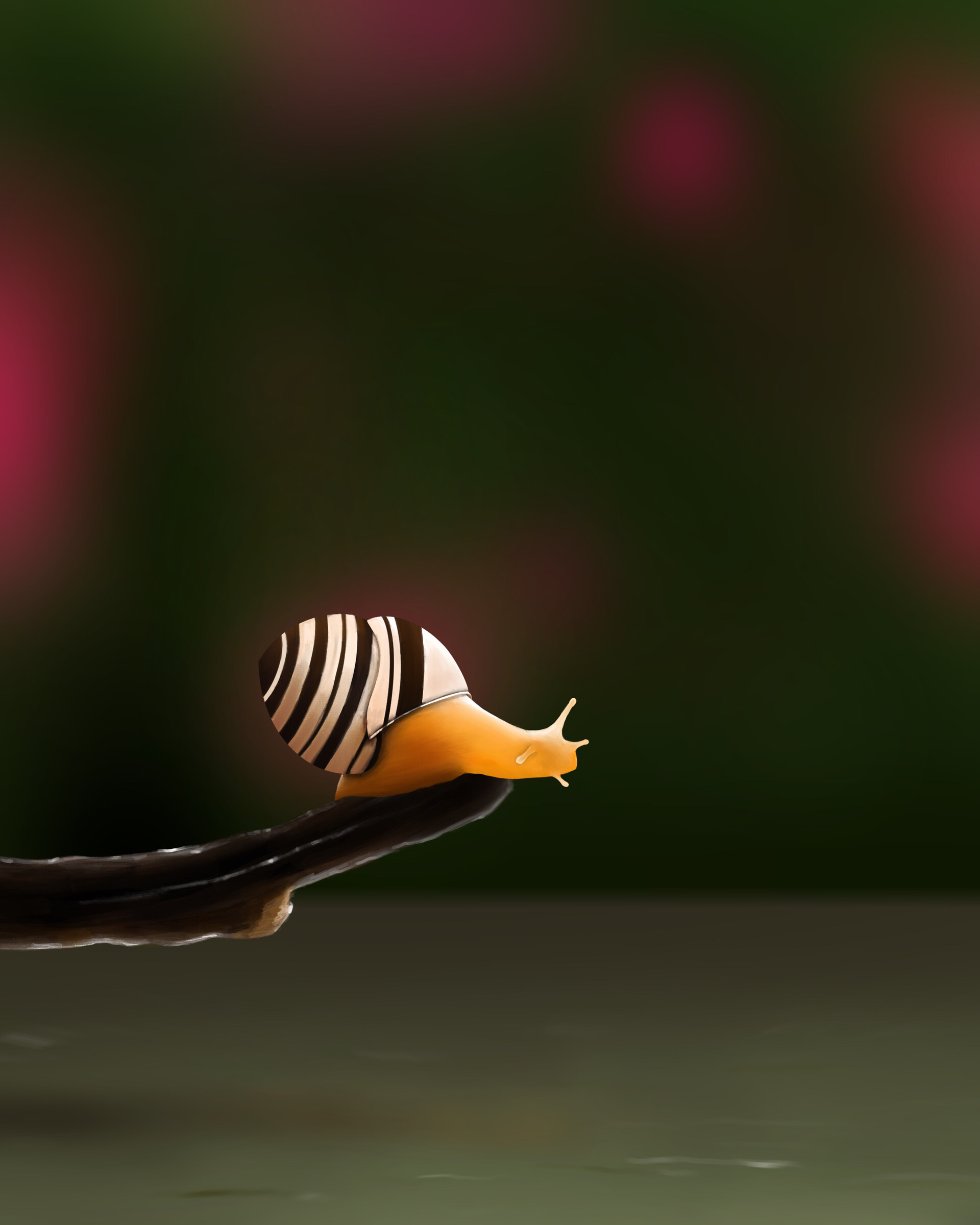 ArtStation - Snail Study