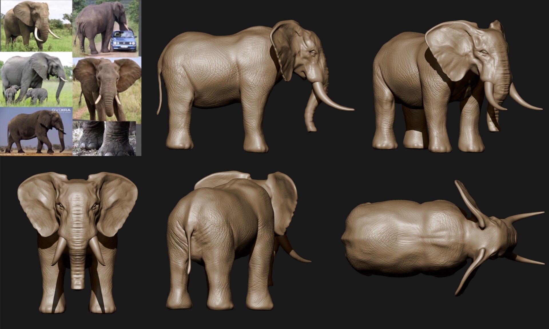 ArtStation - Elephant