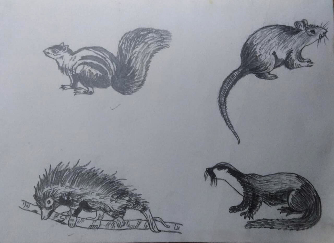 ArtStation - Creature Design