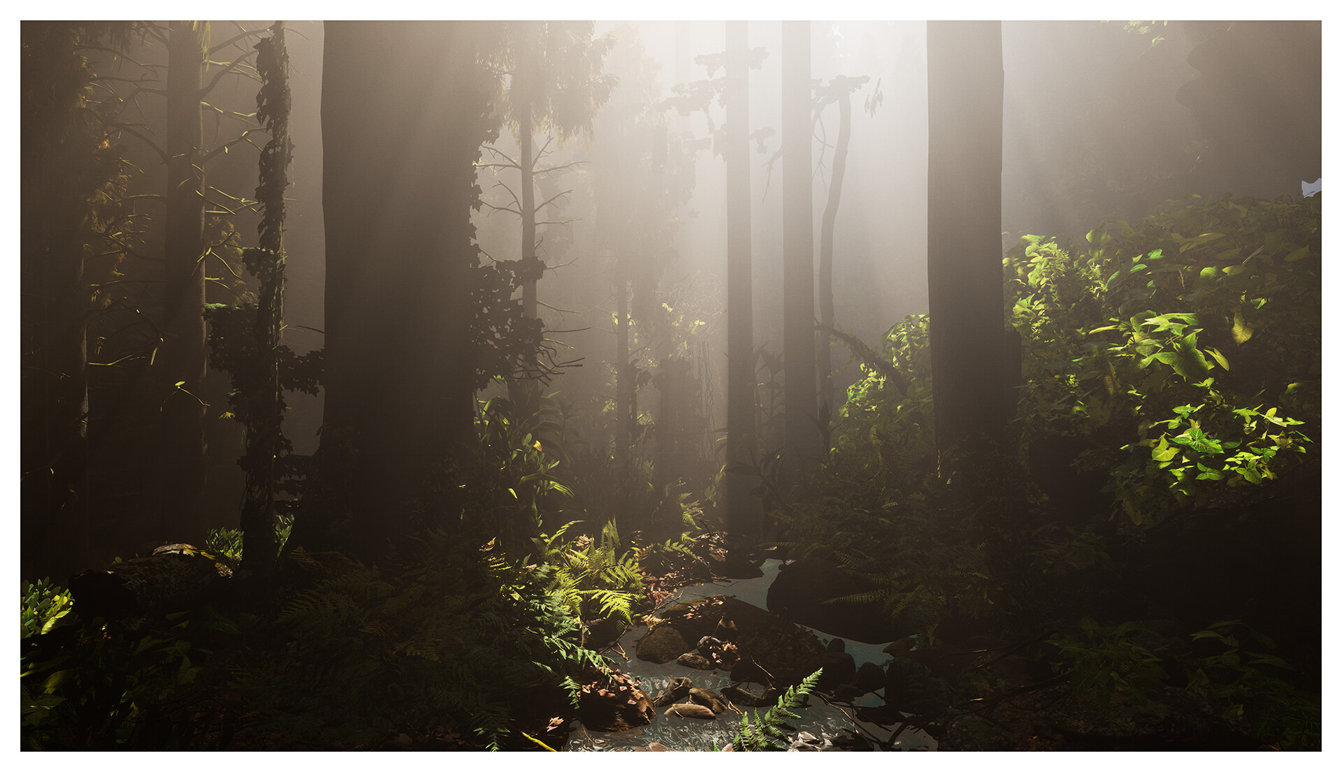 ArtStation - Misty Forest Morning