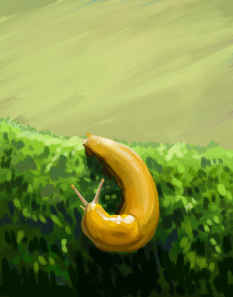 ArtStation - Banana Slug Pride!