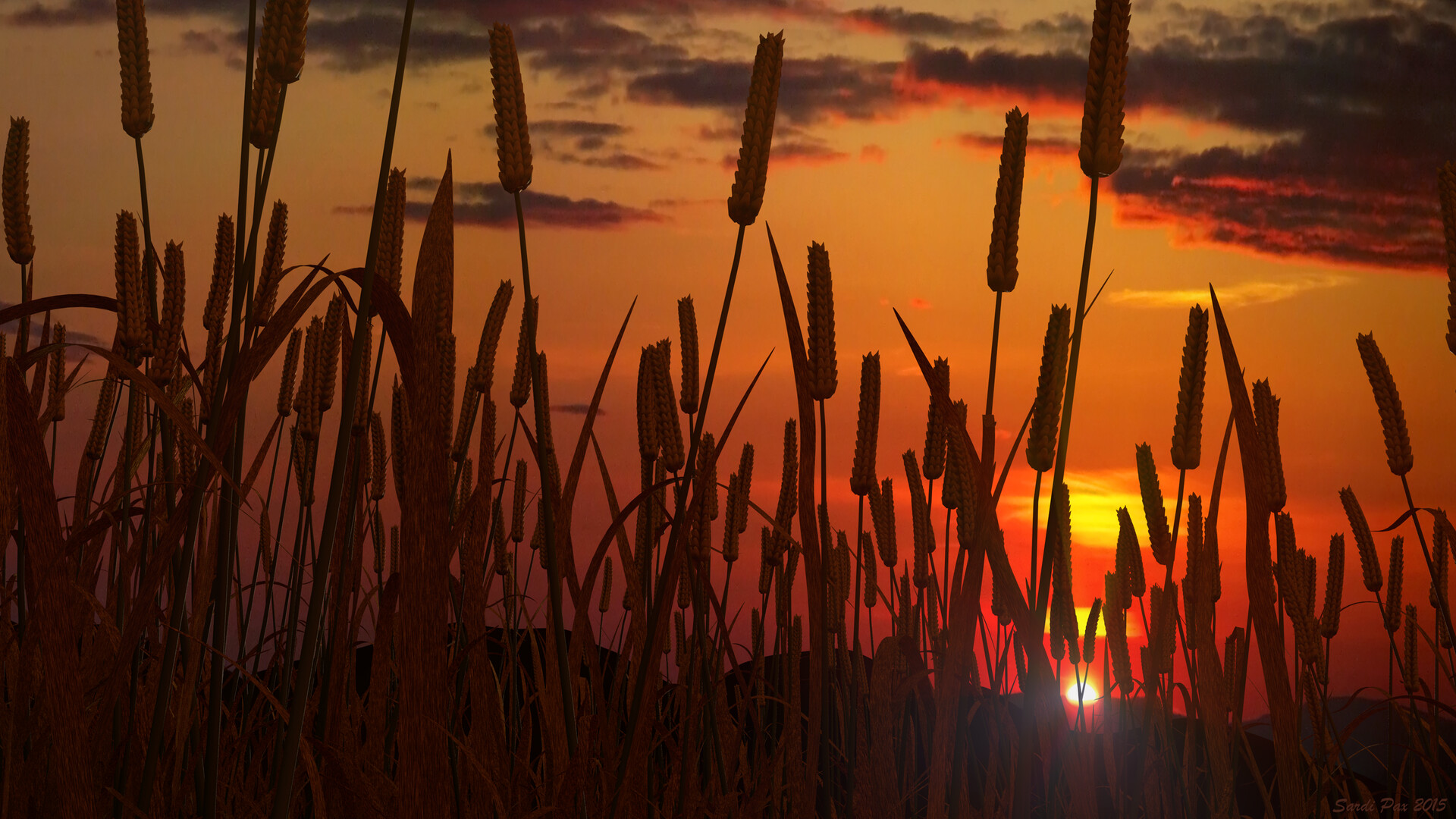 ArtStation - Sunset Wheat