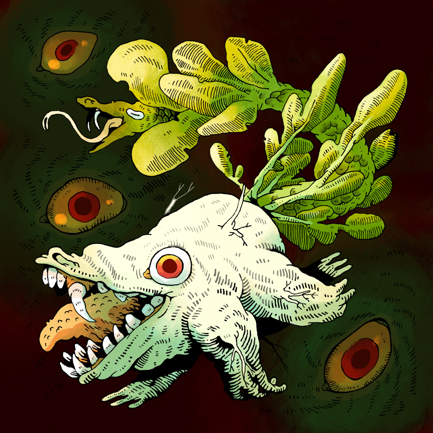 Hikari Kobayashi - #Feybruary 2020 Series