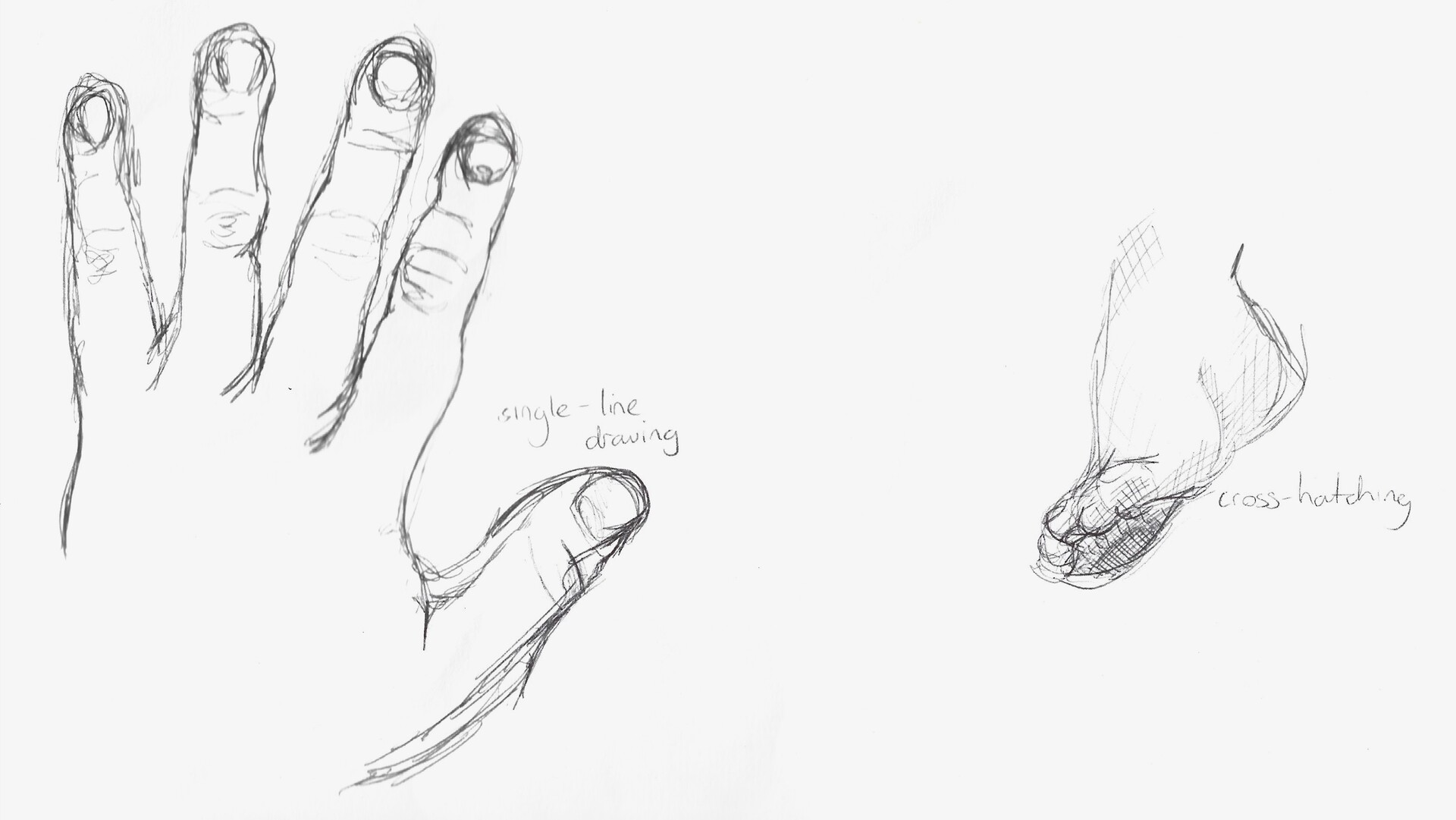 Lara Doggett - Hands and Feet - Anatomy Practice