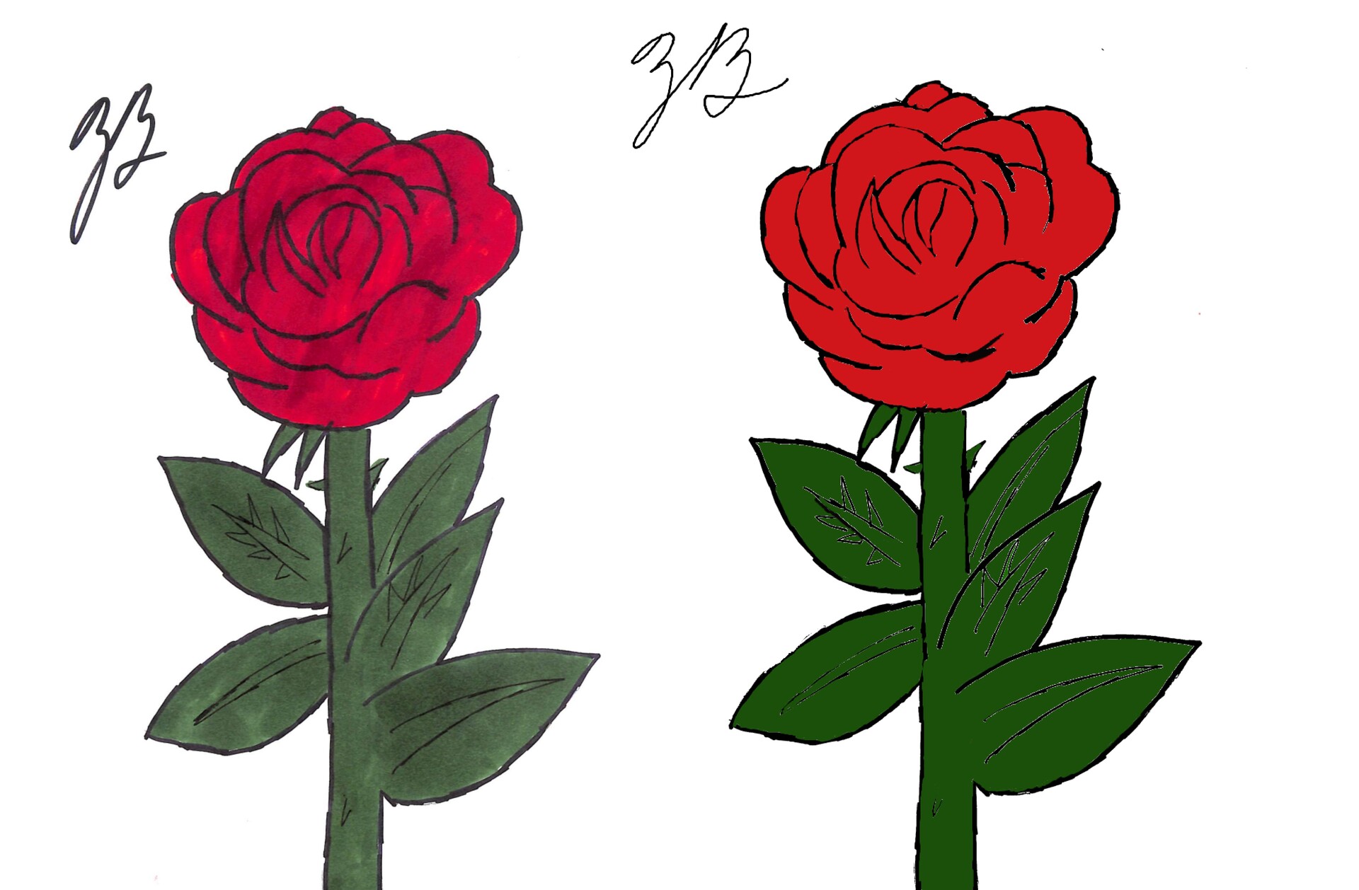 digital rose drawing