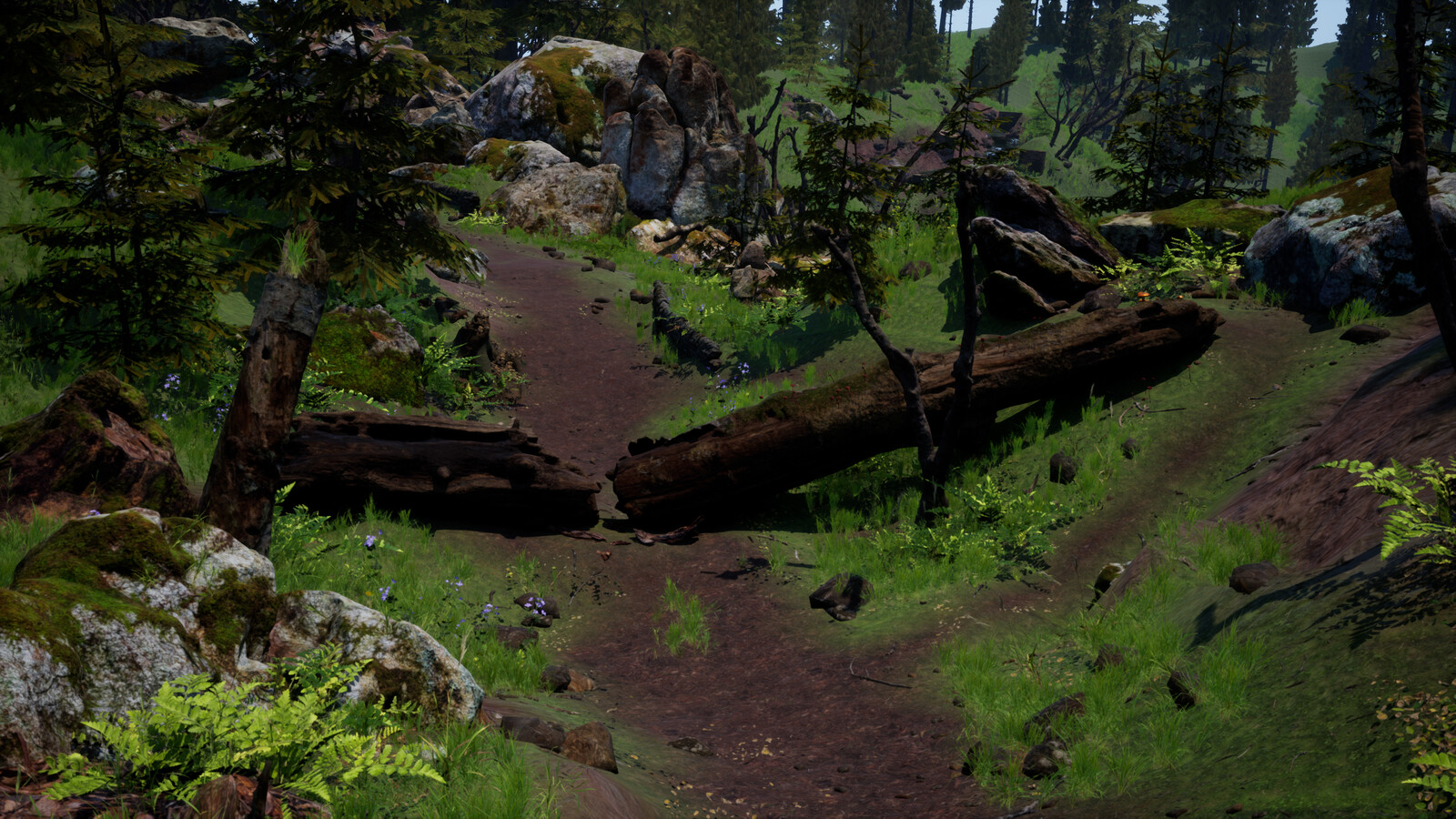 Isidora Simic - Forest Road