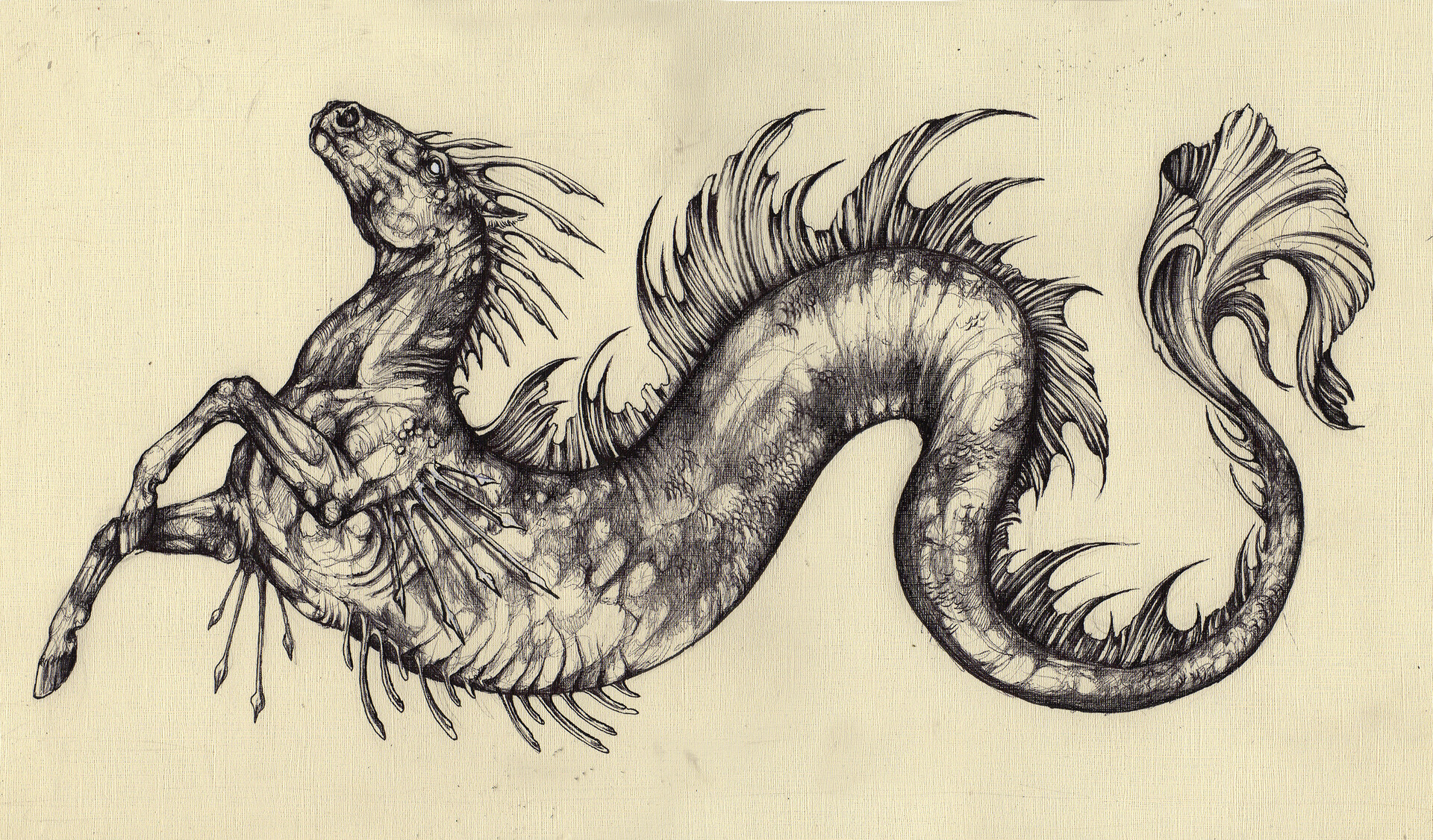 ArtStation - Hippocampus