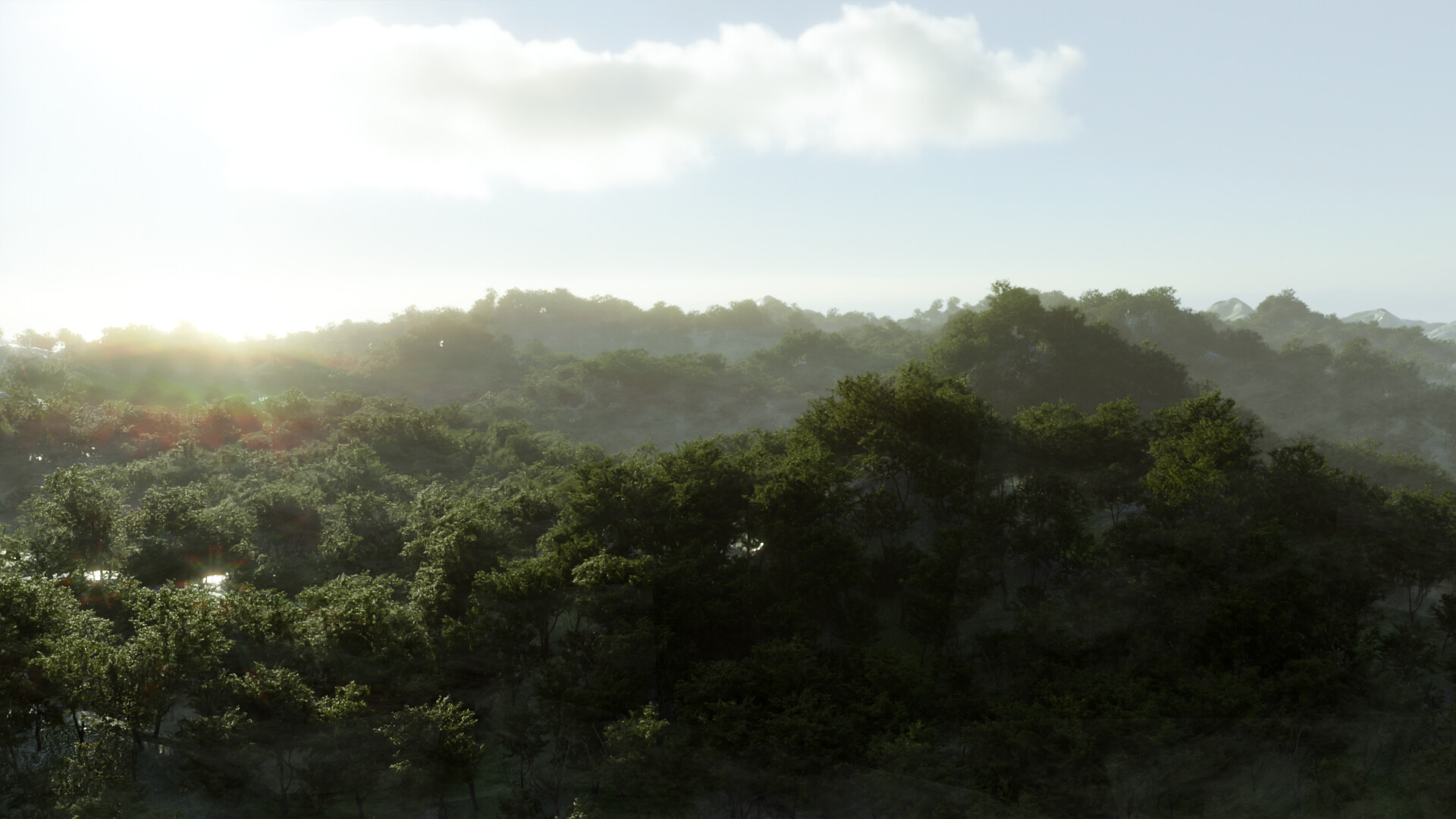 renderit.pro - Forest Scene made in Blender