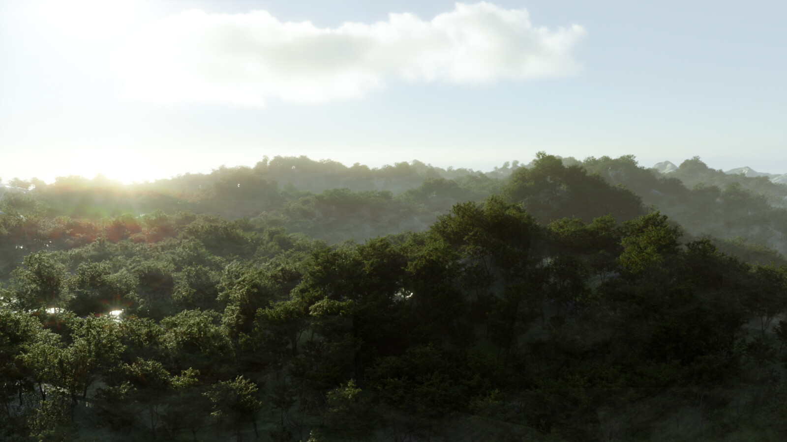 renderit.pro - Forest Scene made in Blender