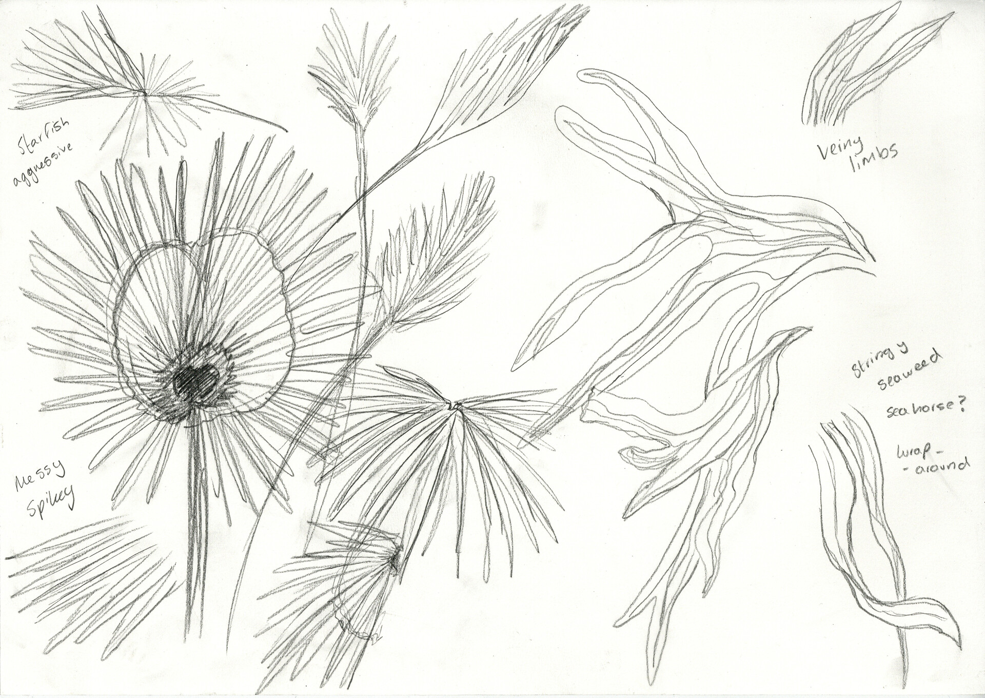 Charlie Ellis - 'Bambulium' Creature Design