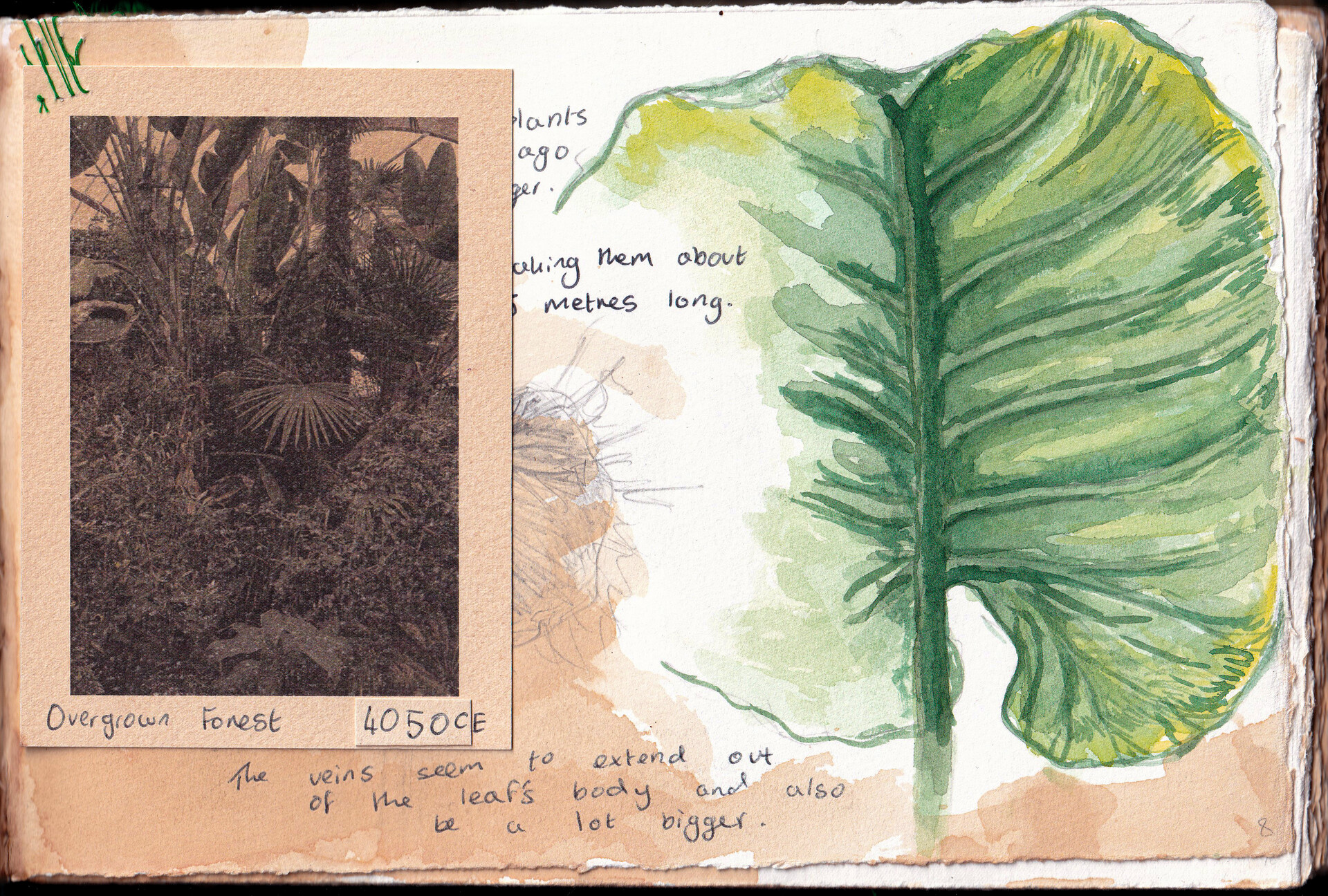 Charlie Ellis - Field Guide to the Creatures of 'Terrablitus'