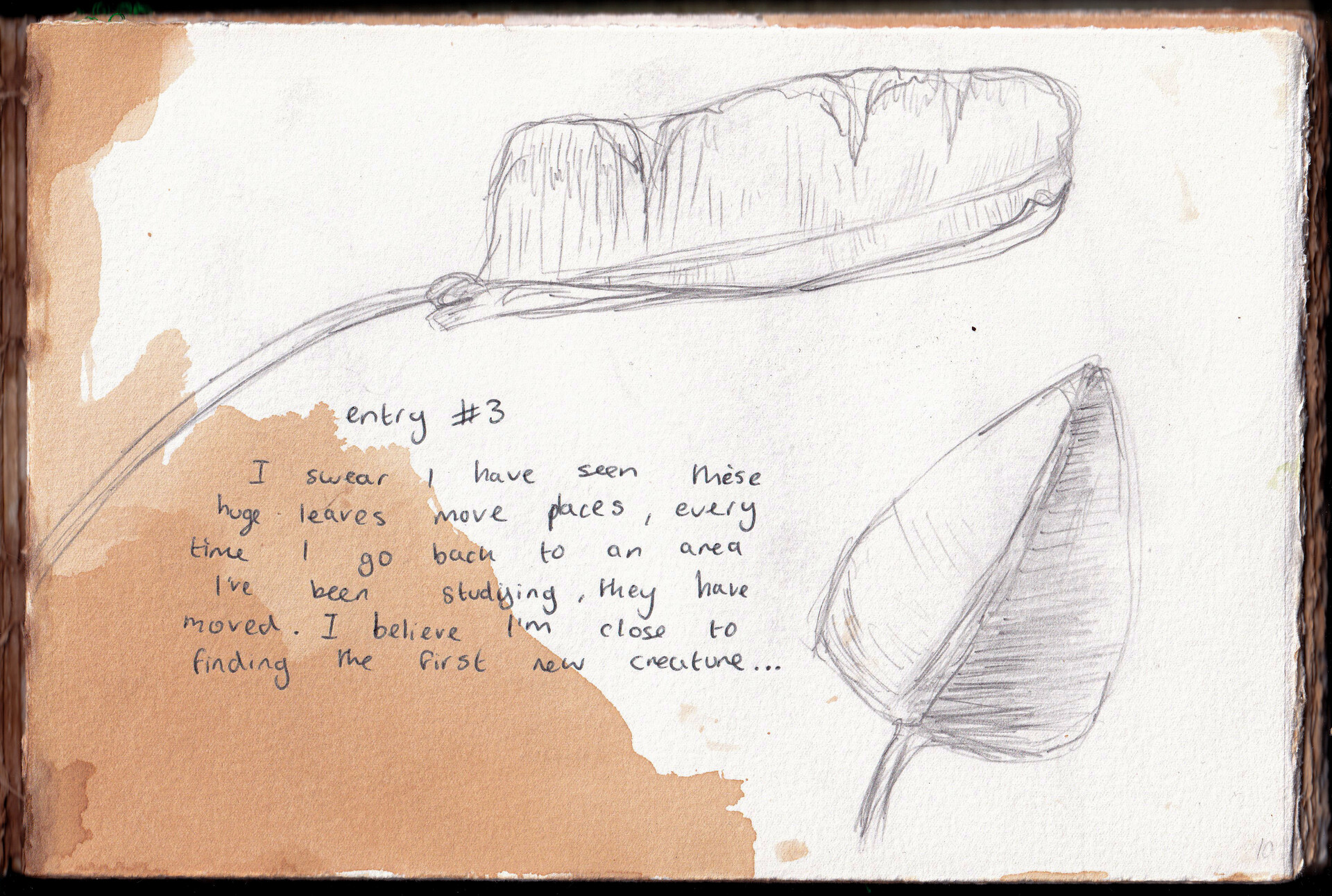 Charlie Ellis - Field Guide to the Creatures of 'Terrablitus'