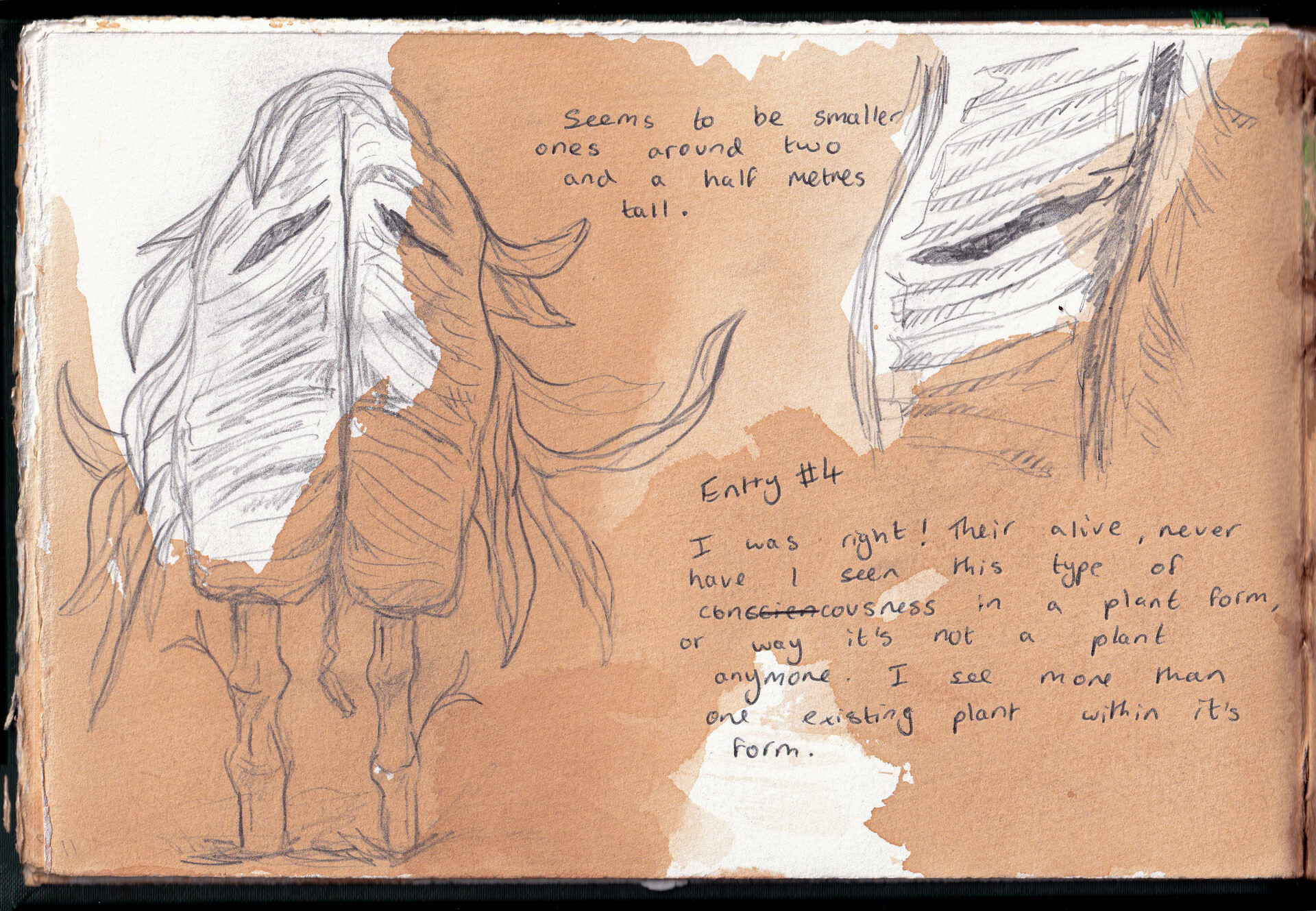 Charlie Ellis - Field Guide to the Creatures of 'Terrablitus'