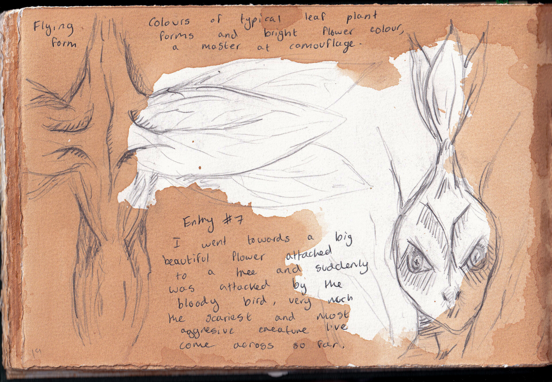 Charlie Ellis - Field Guide to the Creatures of 'Terrablitus'