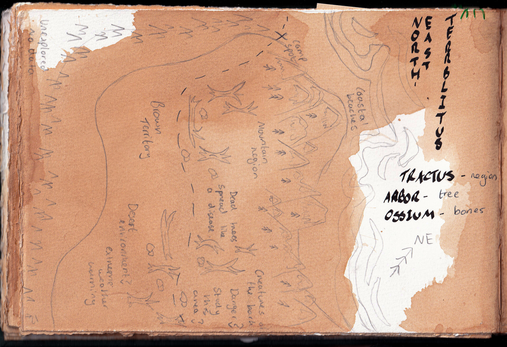 Charlie Ellis - Field Guide to the Creatures of 'Terrablitus'