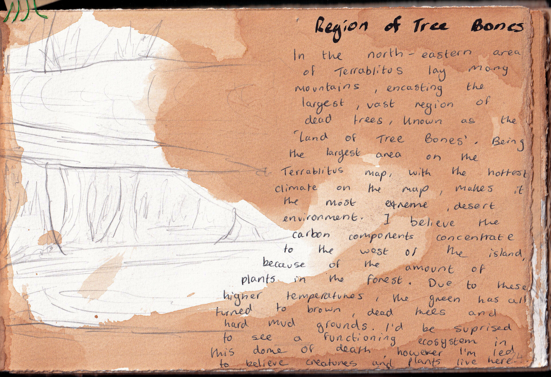 Charlie Ellis - Field Guide to the Creatures of 'Terrablitus'