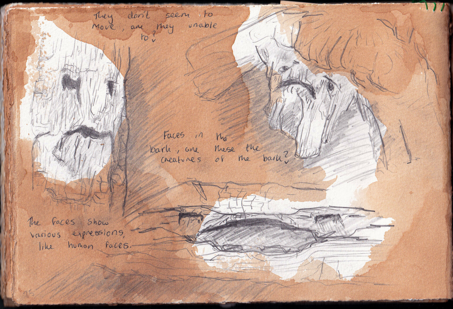 Charlie Ellis - Field Guide to the Creatures of 'Terrablitus'