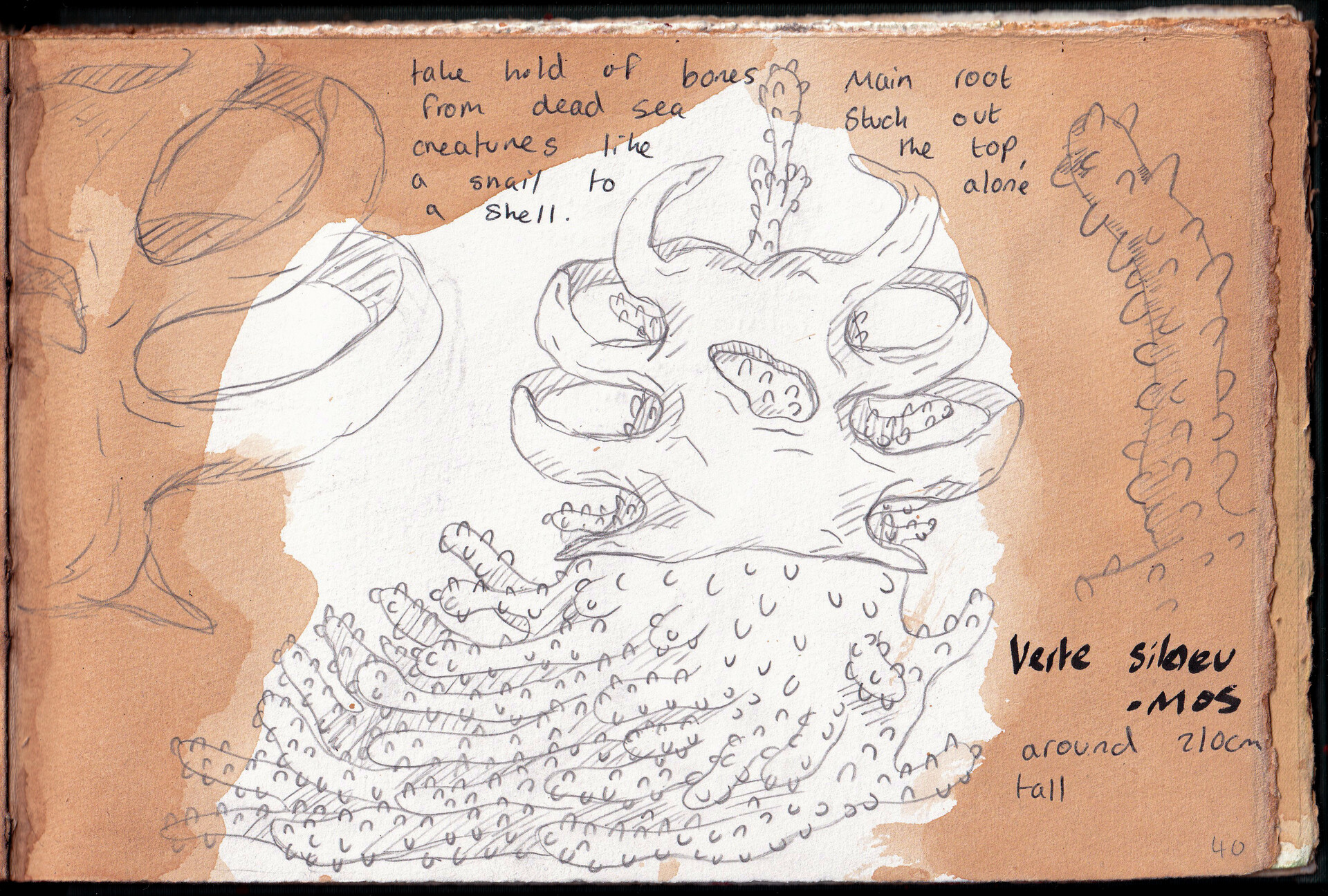 Charlie Ellis - Field Guide to the Creatures of 'Terrablitus'