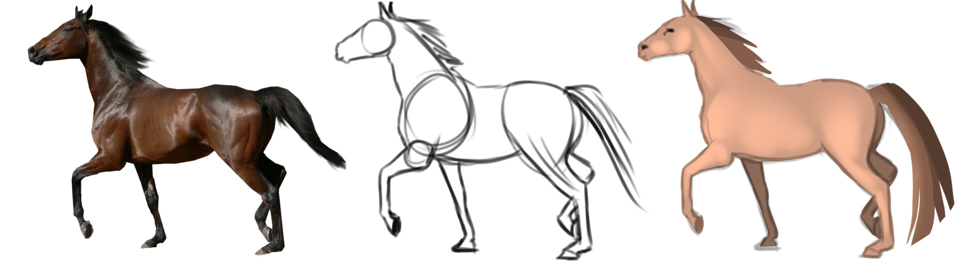 horse walking animation frames