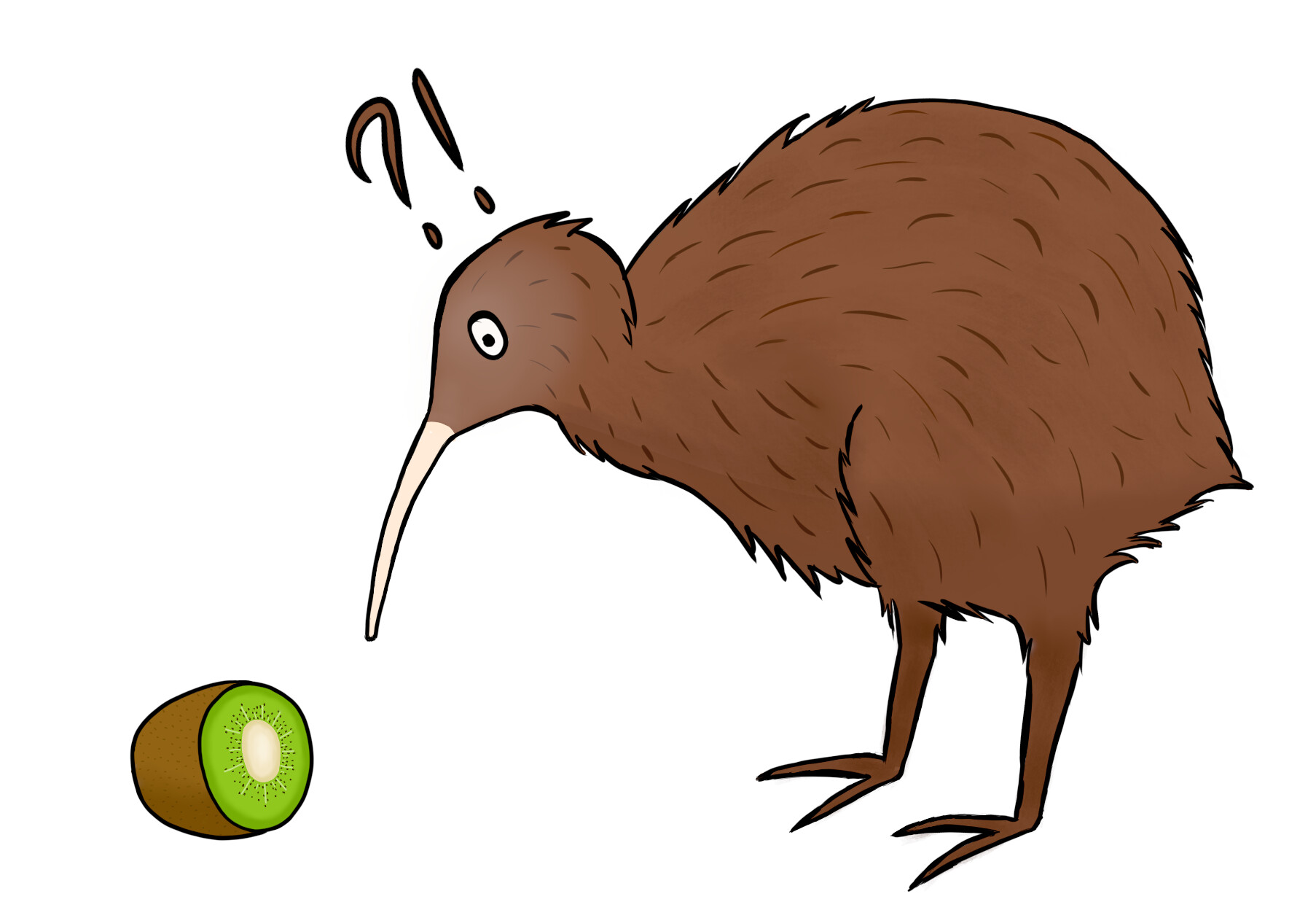 ArtStation - Confused kiwi bird