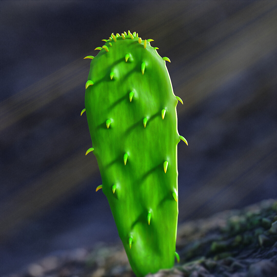 ArtStation - Young Tuna Plant