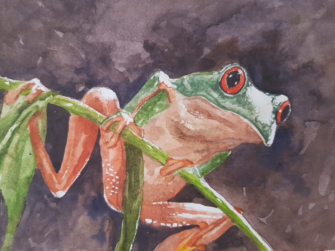 ArtStation - Frog painting