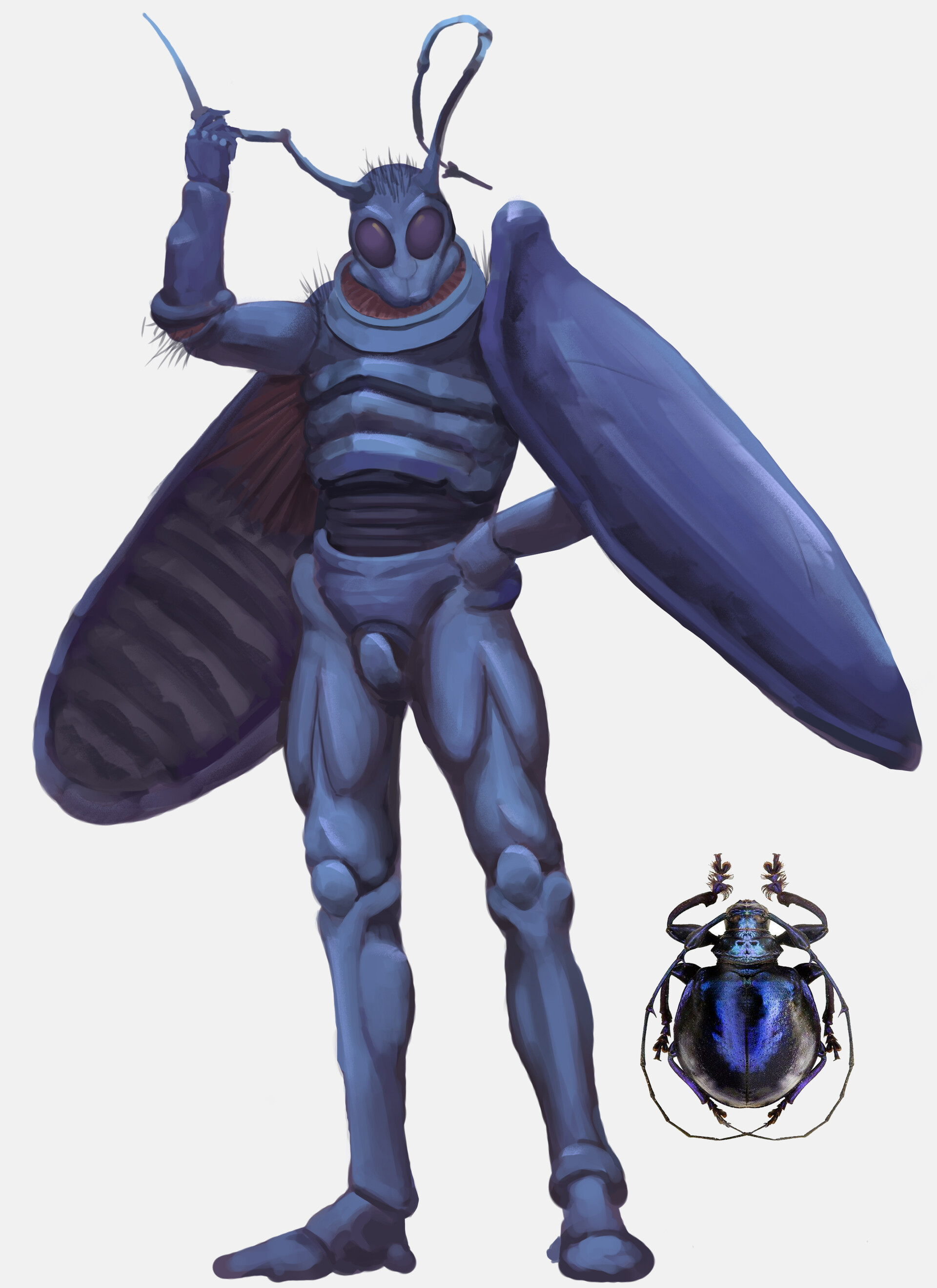 ArtStation - Bug themed characters