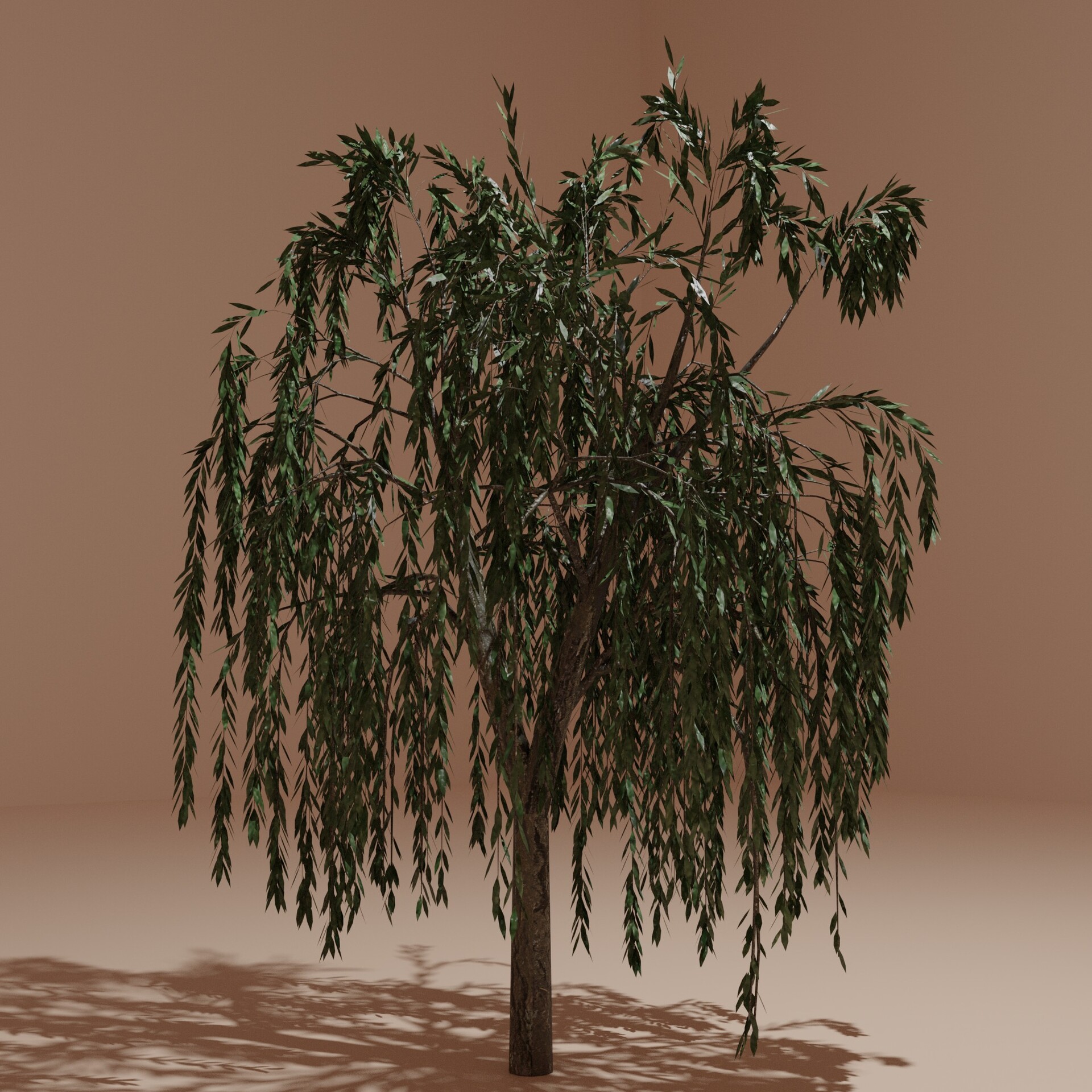 ArtStation - Willow Tree