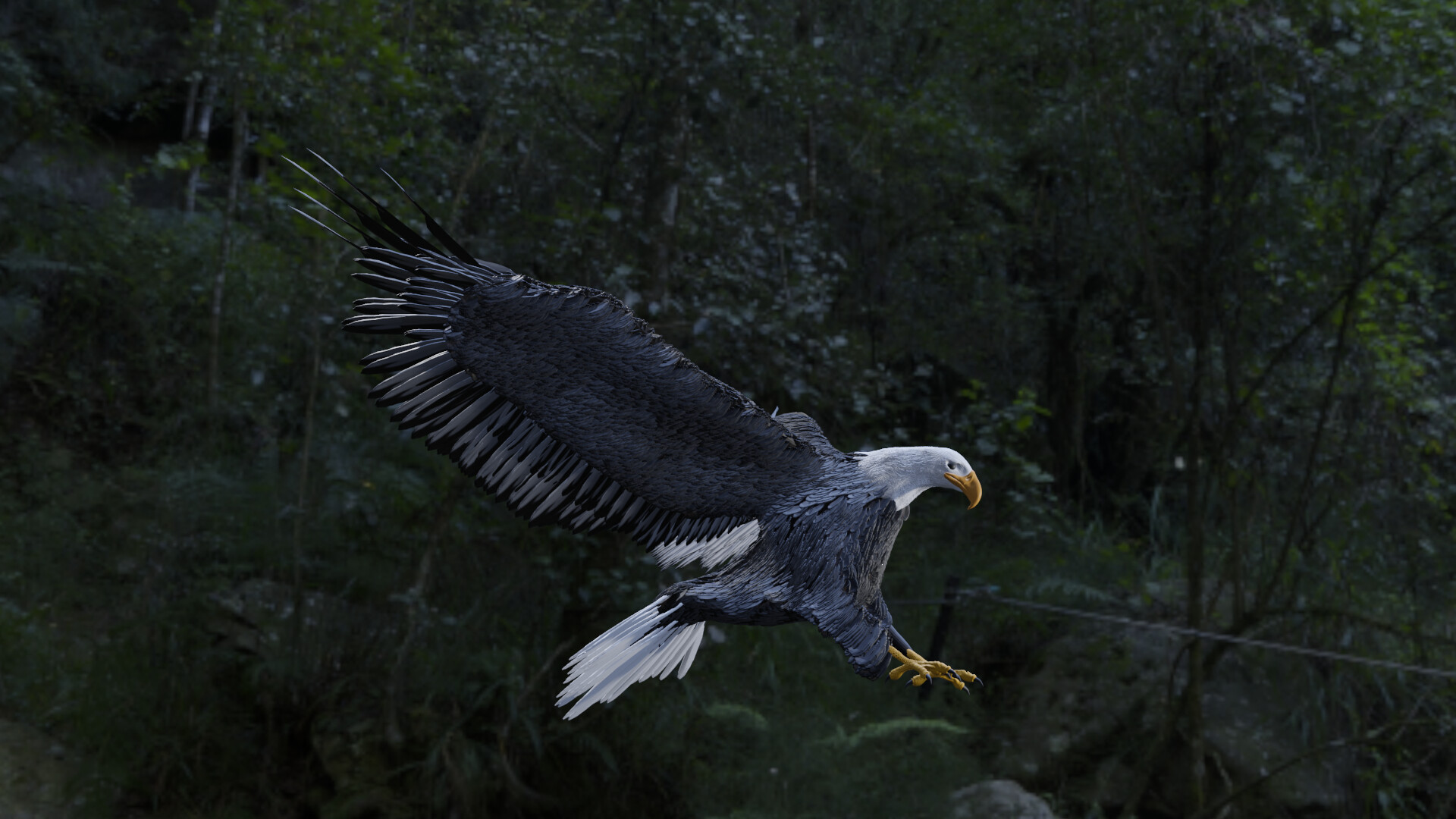 ArtStation - aigle pêcheur