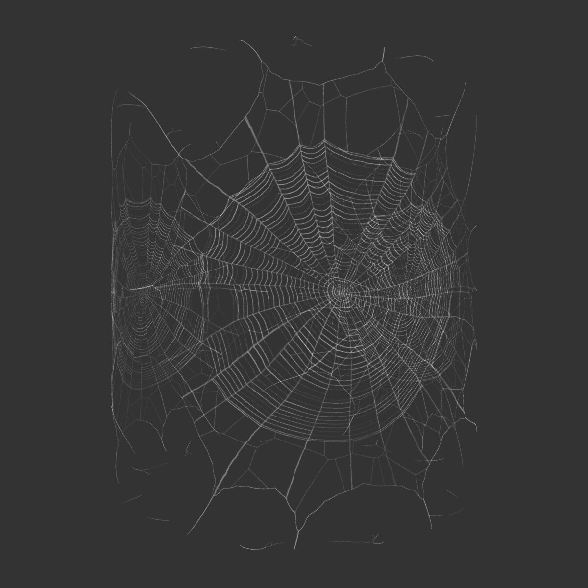 TextureCan - Spider Web / Cobweb Texture