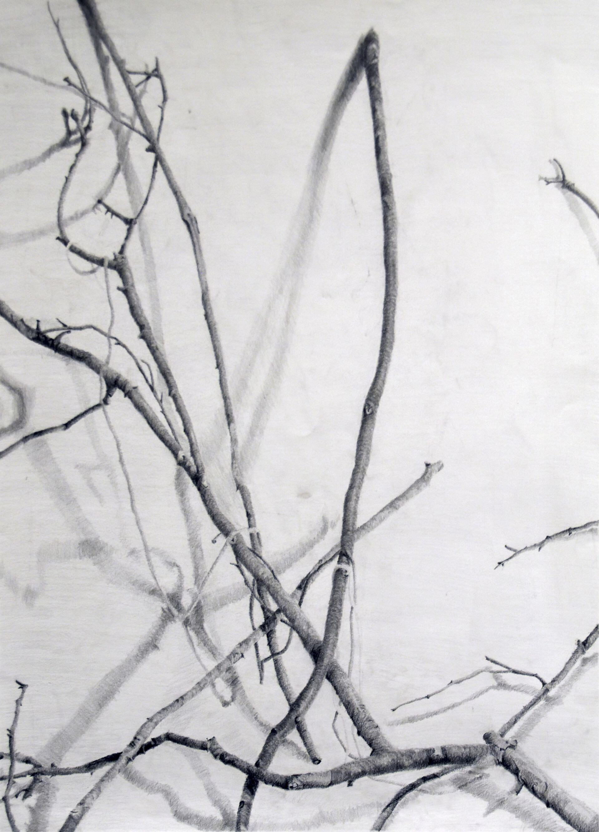 ArtStation - Stick Still Life