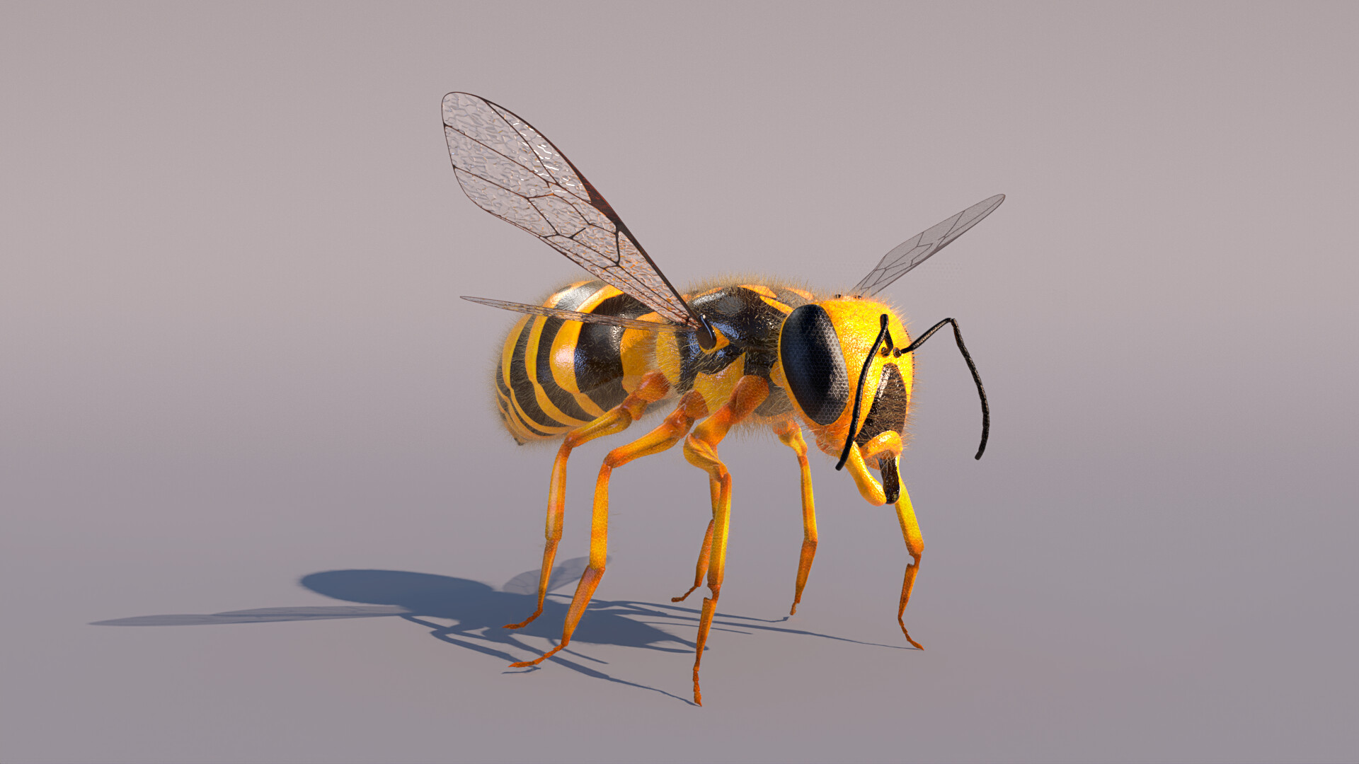 ArtStation - Microcosmos - The Insect