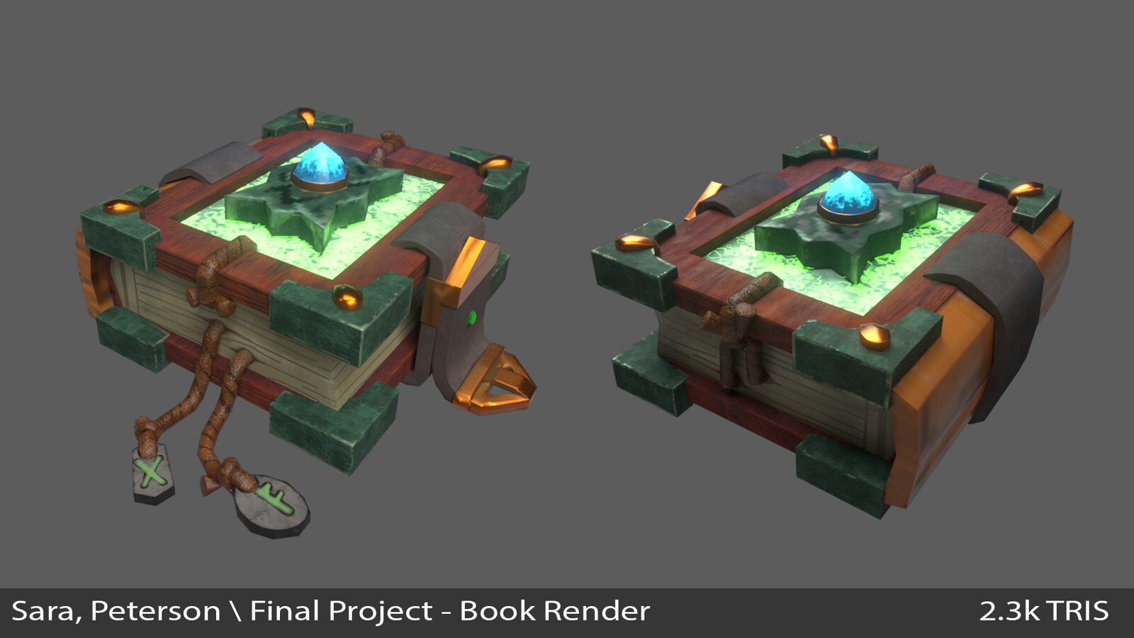 Sara Peterson - Book Final