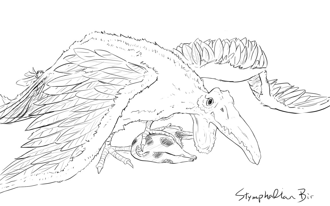 ArtStation - Stymphalian Bird