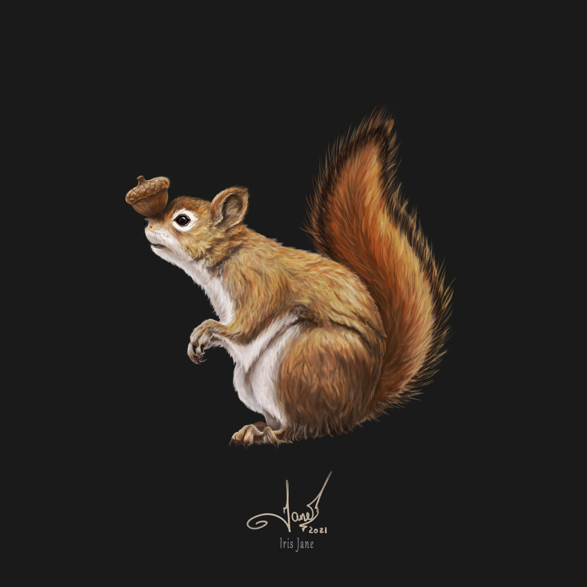 ArtStation - Squirrel with the Nut