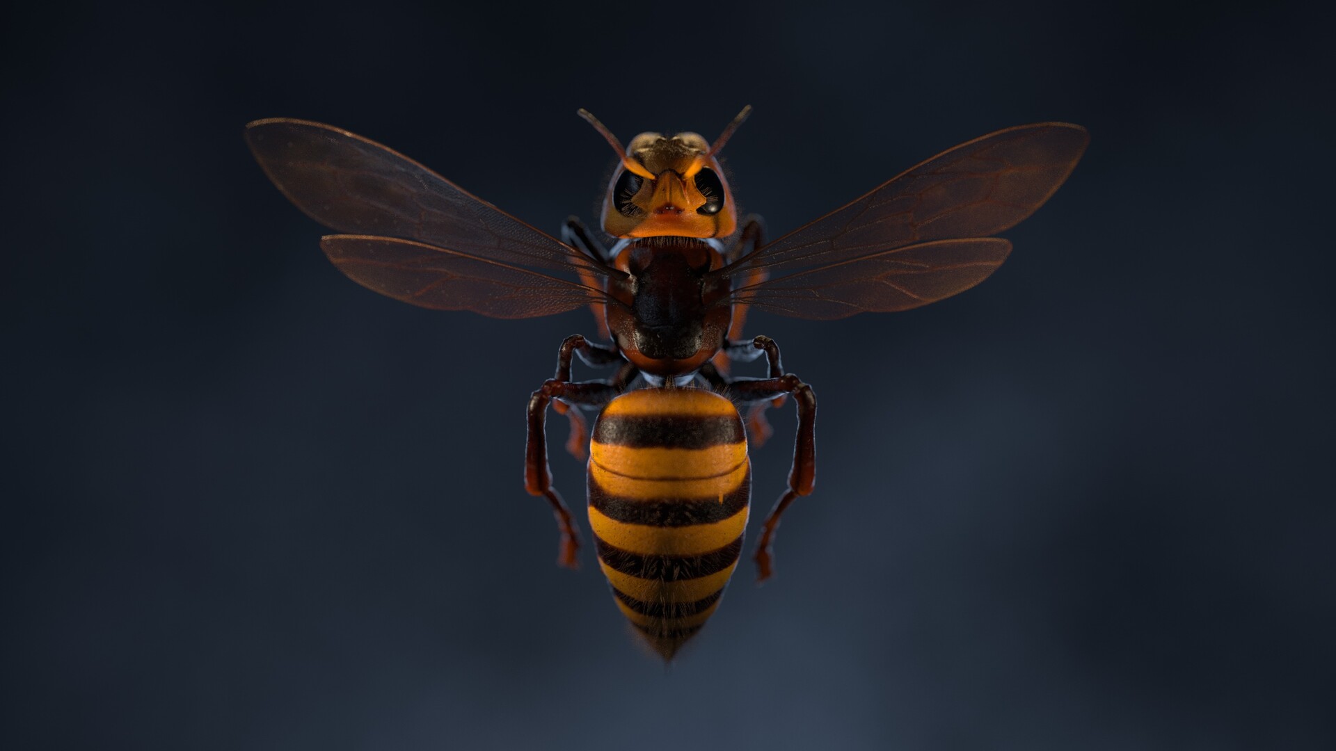 ArtStation - Attack of the Murder Hornets