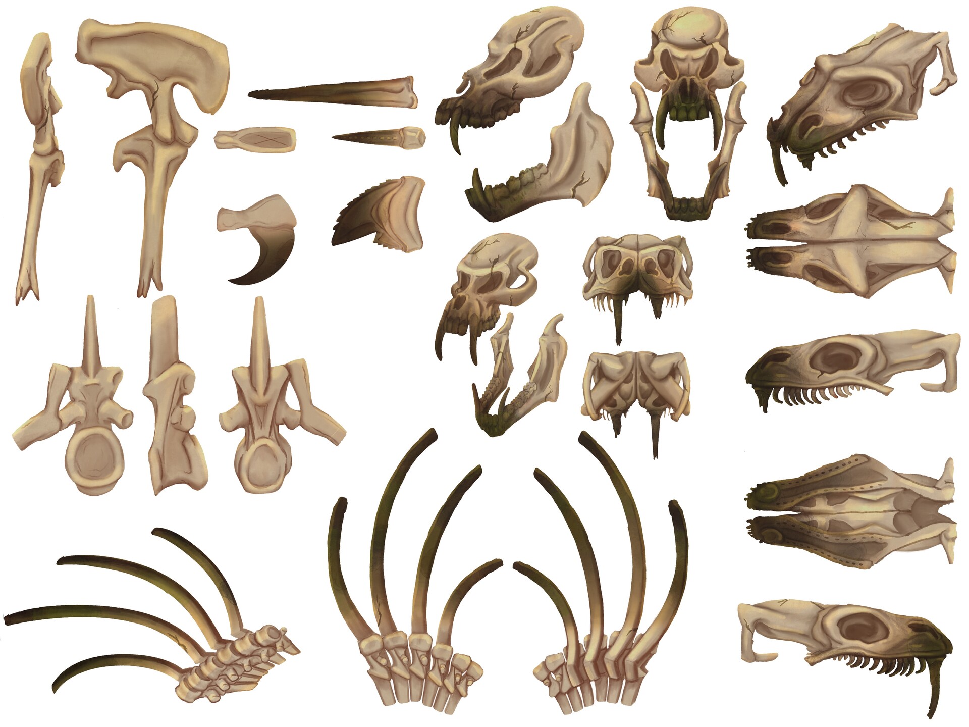 ArtStation - The Bone Sheet
