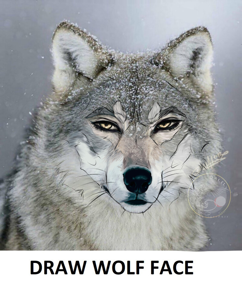 Dalel Drakaina - commission & challenge