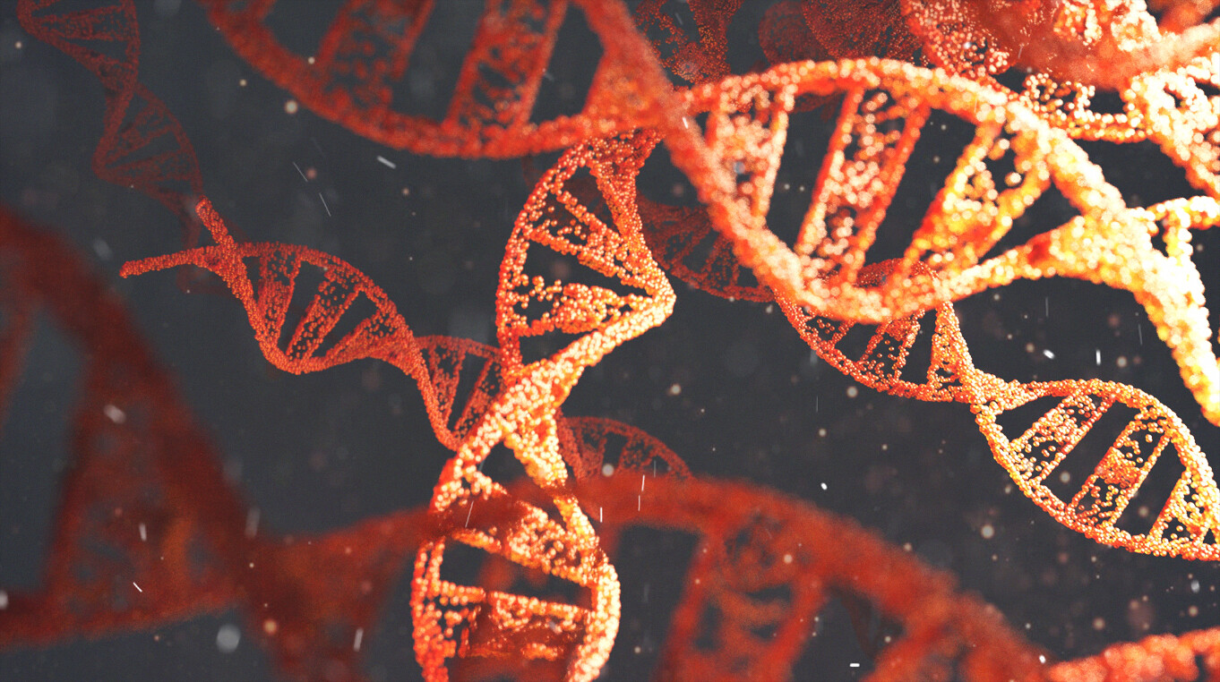 Bharath panga - DNA Structure