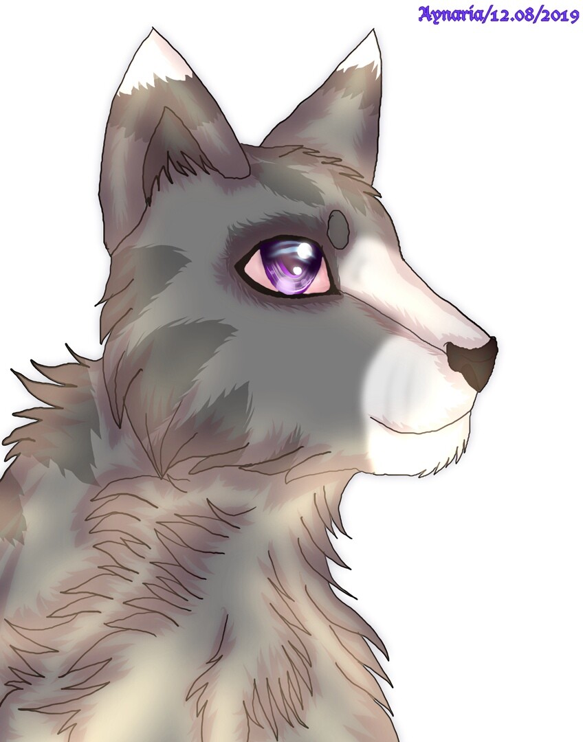 ArtStation - Cat headshot