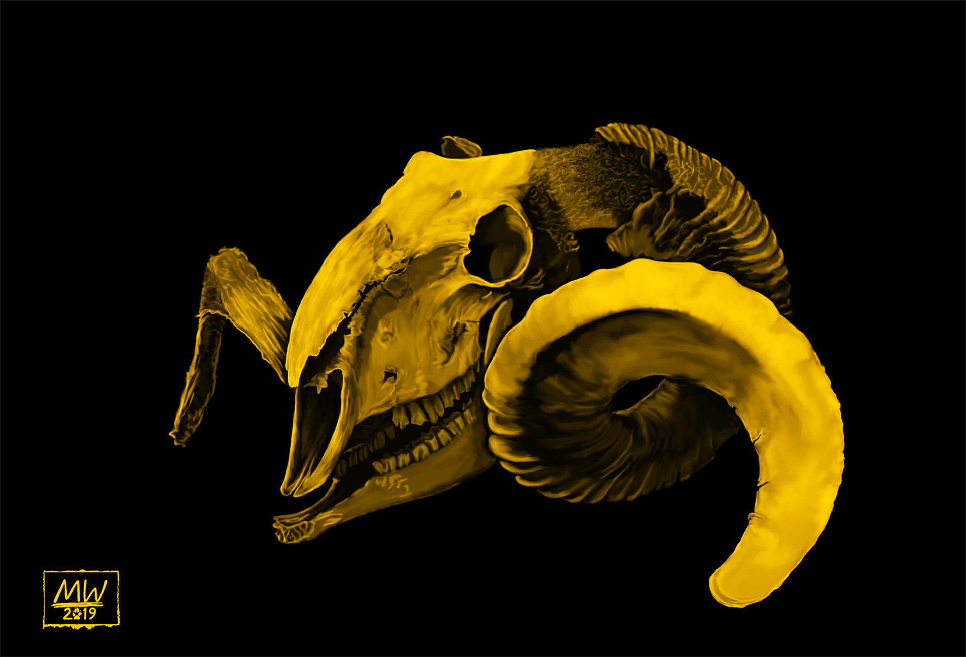 ArtStation - ram skull