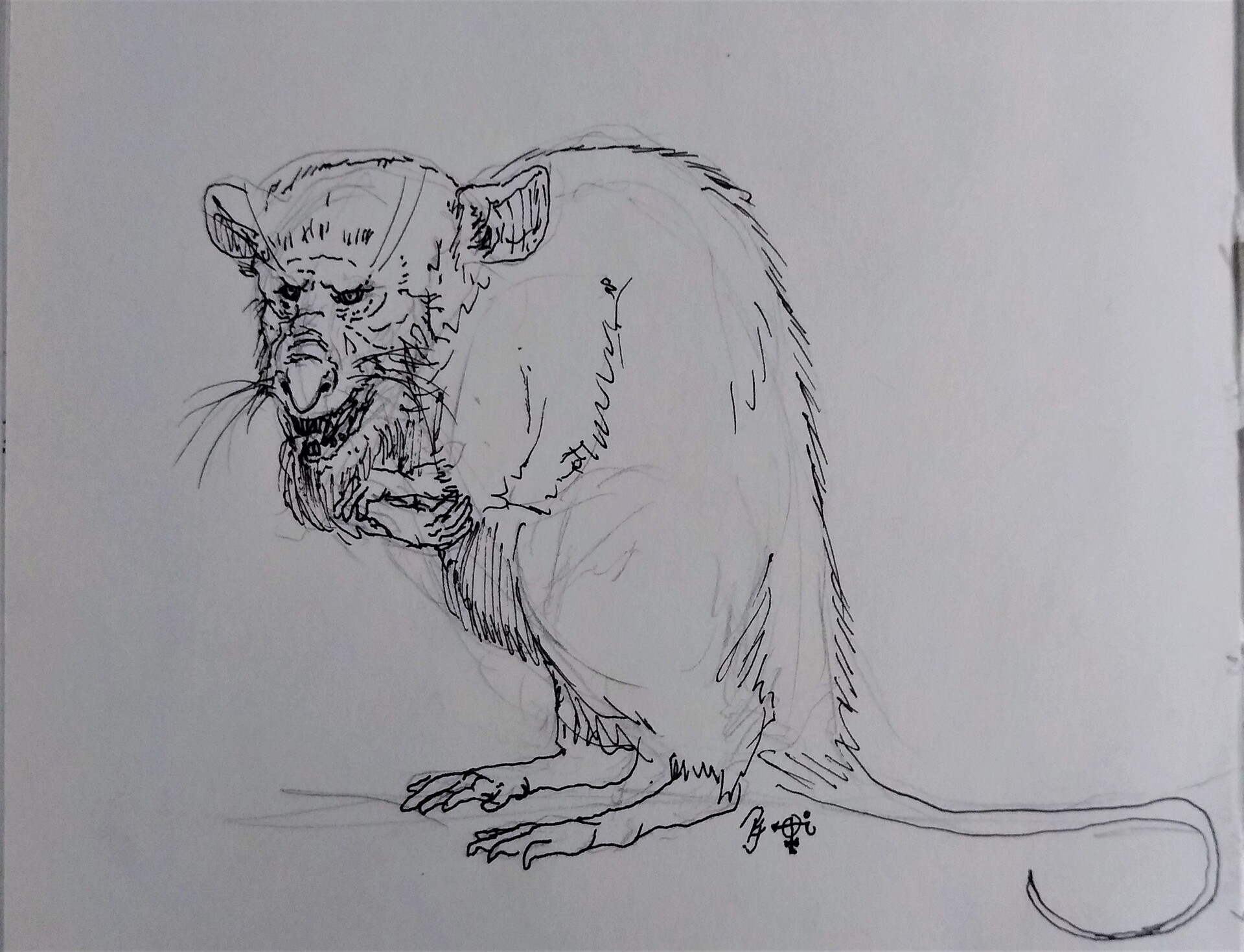 Phoenix James - Brown Jenkin from "Dreams in the Witch House" by H.P ...