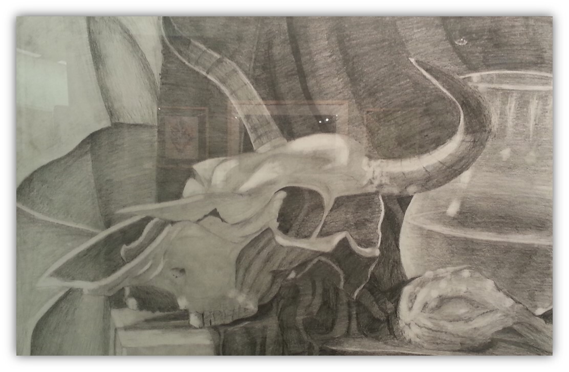 ArtStation - Cow Skull Still Life