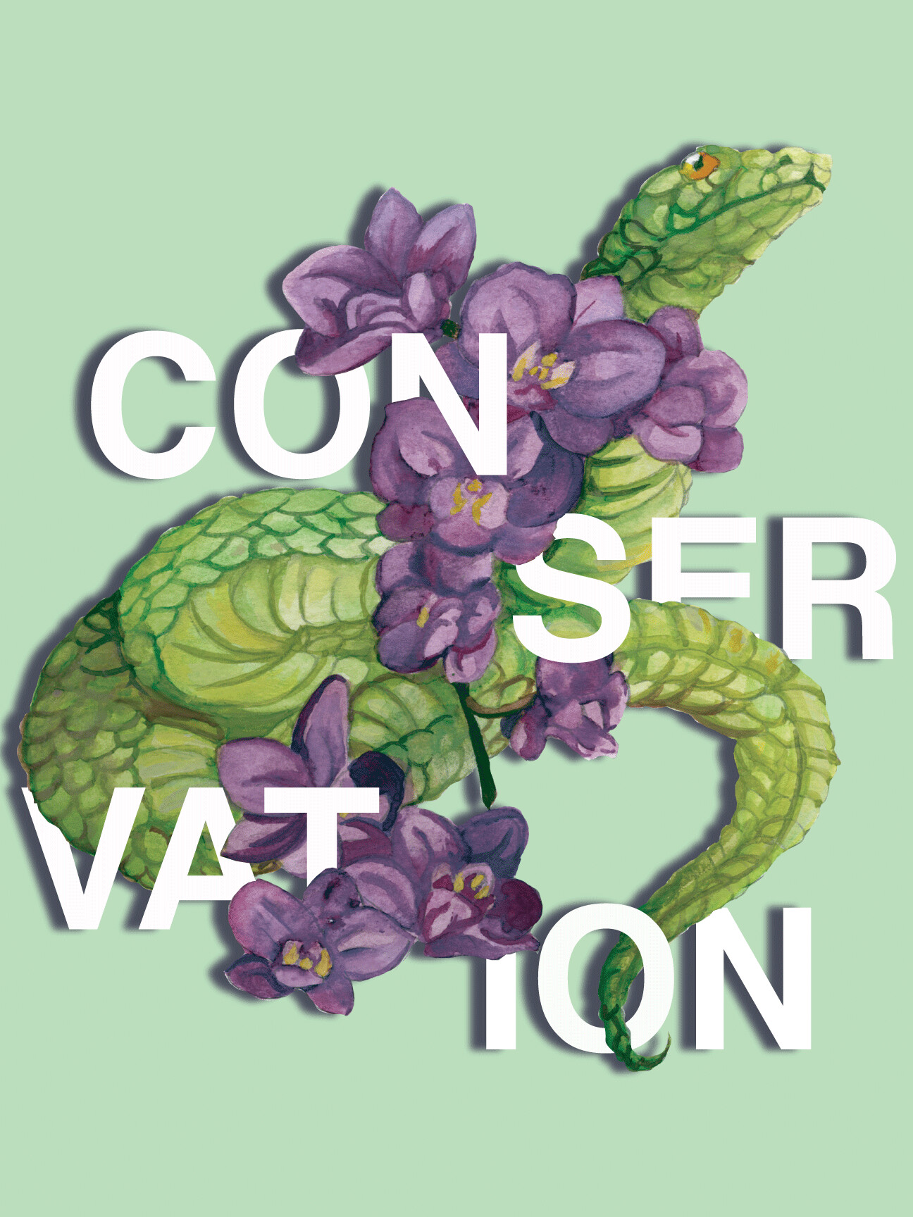 ArtStation - Typography: Conservation