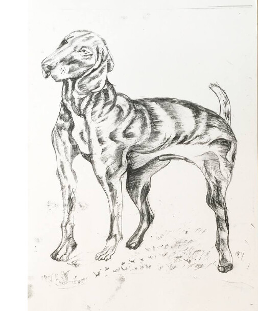 ArtStation - The Alpha