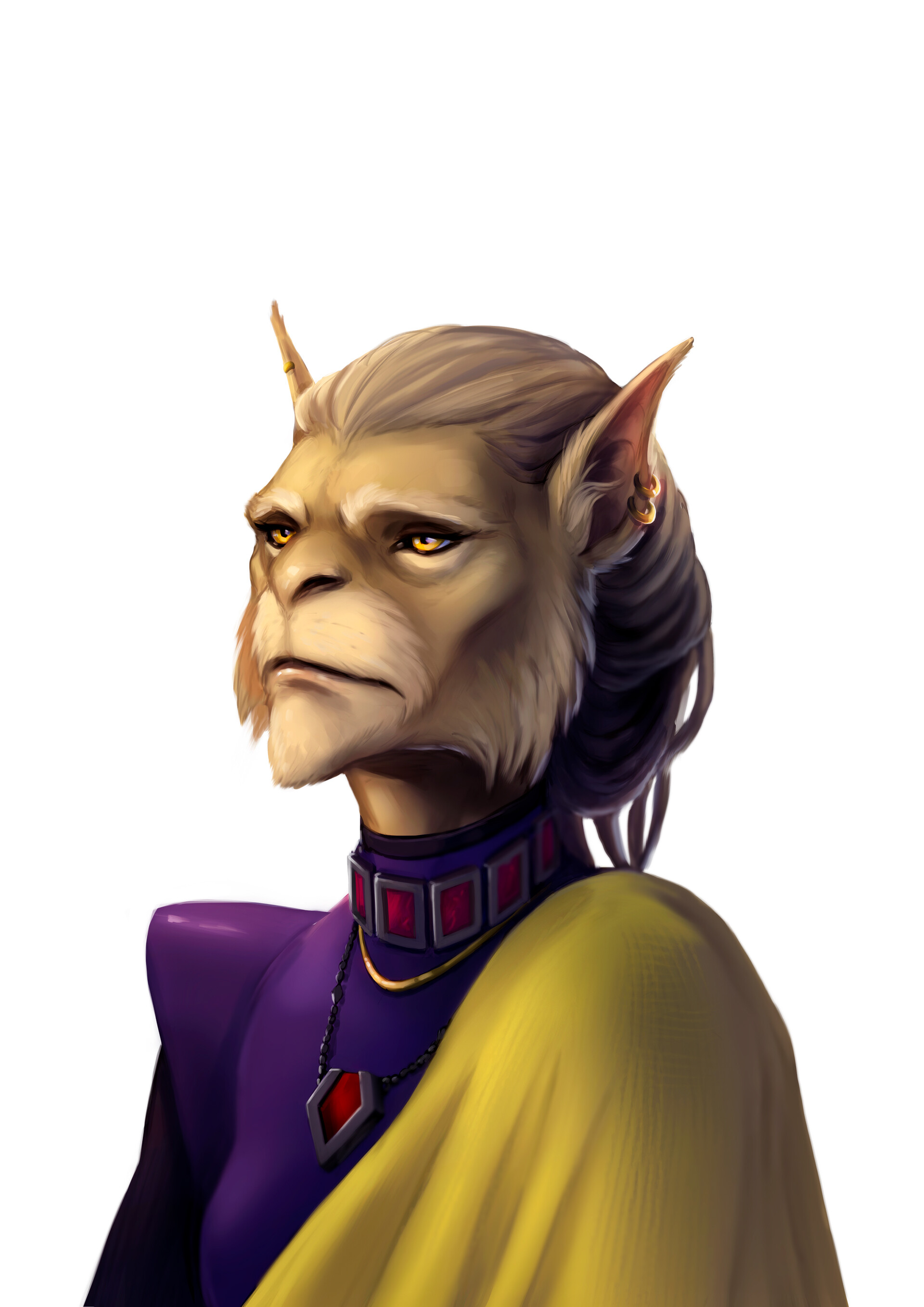 Flying Fox Studio - Traveller - Aslan portraits