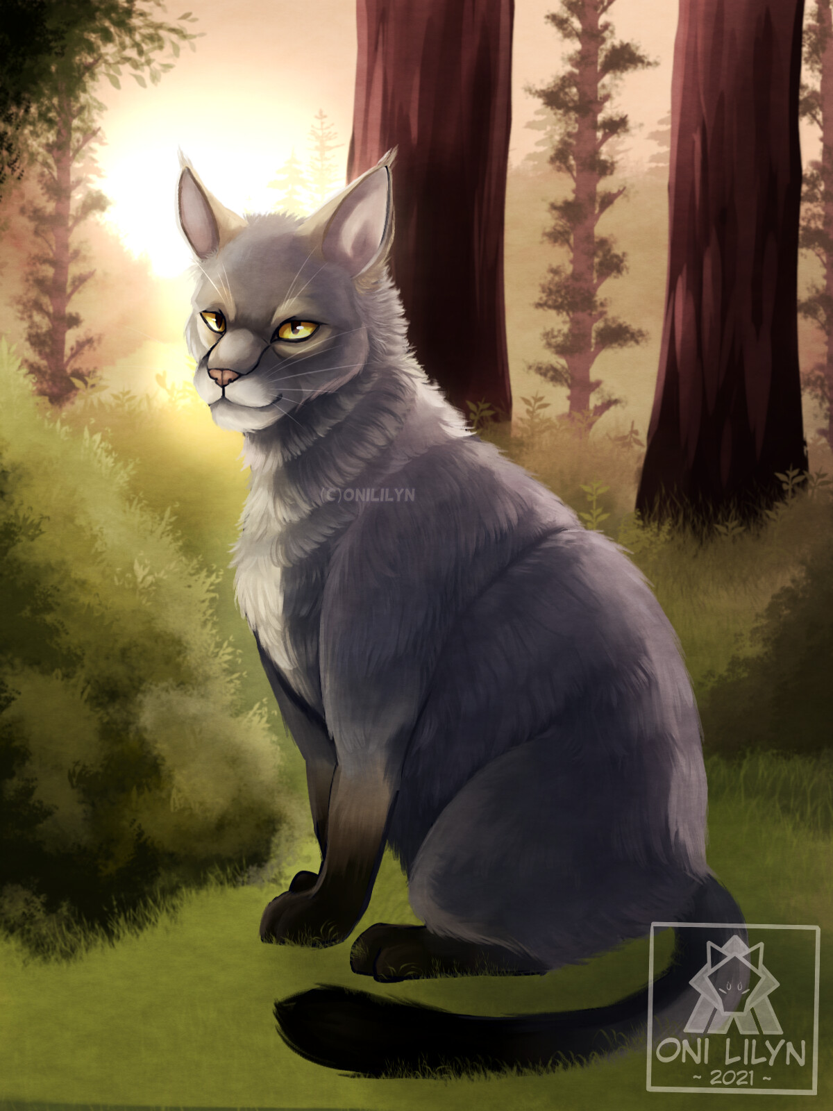 Warrior Cats Blackstar